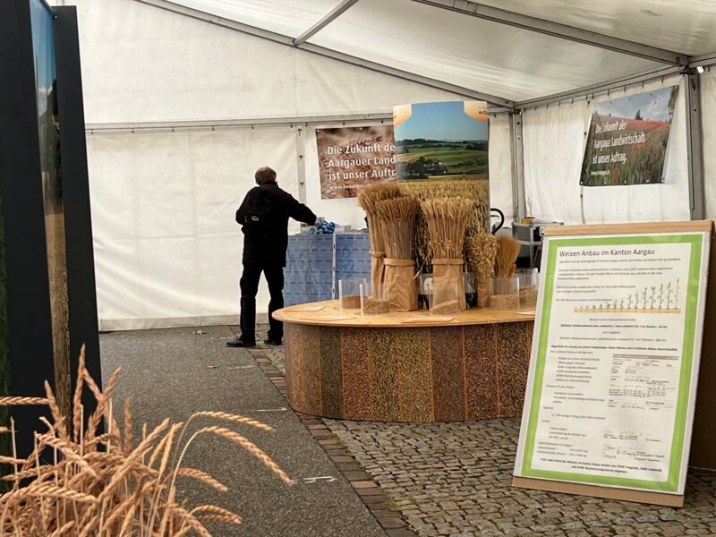 Der Bauernhof belebte die Stadt Brugg - Tourismus Region Brugg